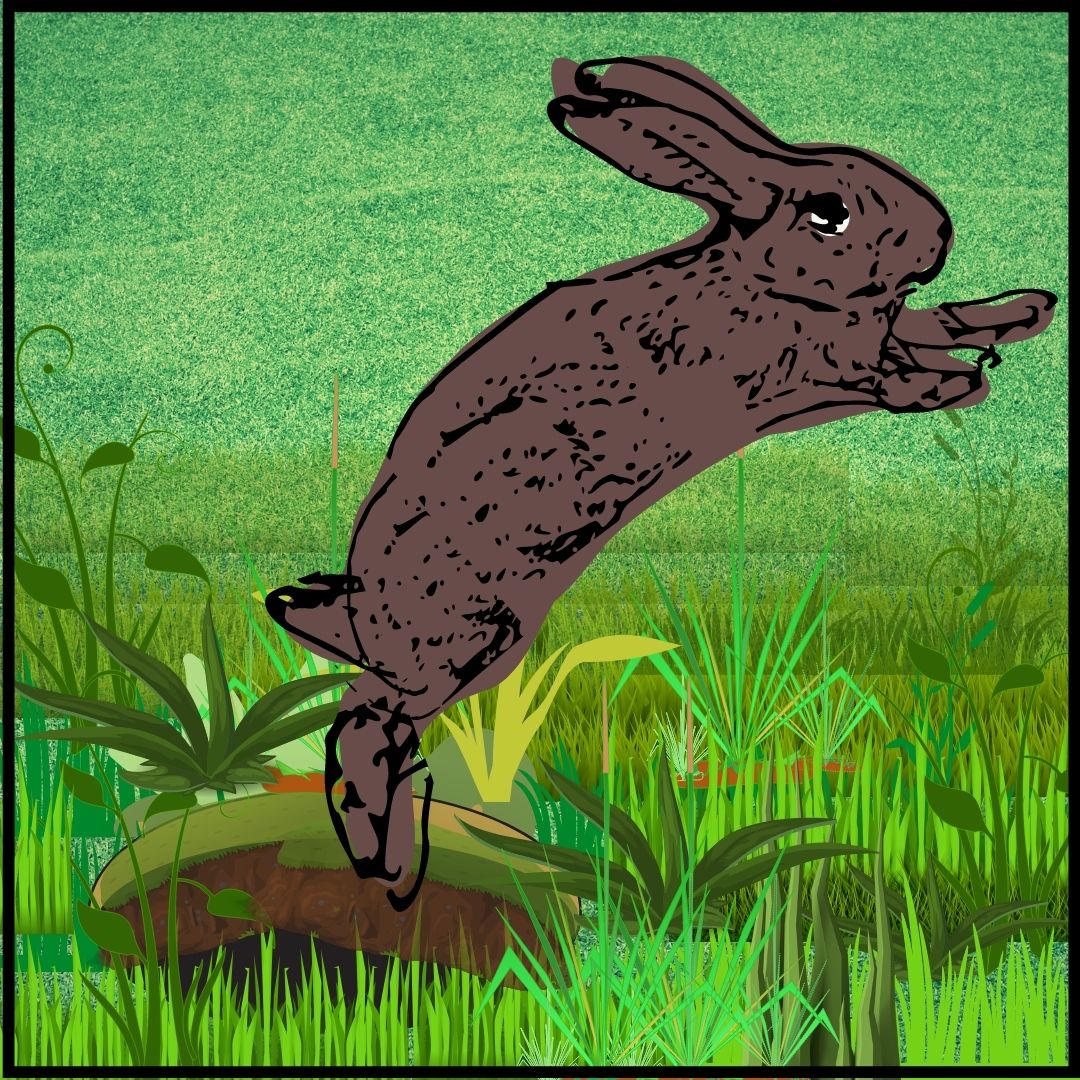 Climbing out of the rabbit hole – DOLL-WORLD